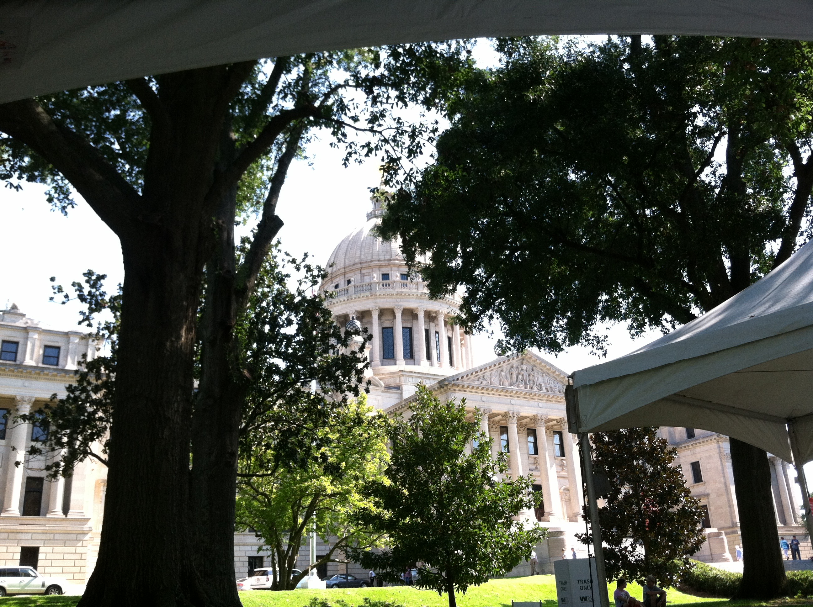 Dispatch from the #MSBookfest – Kendall Dunkelberg
